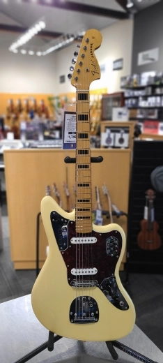 Gear Hunter | Fender - 014-9122-341